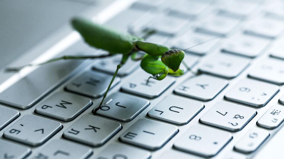 Bug de computador: o que é, causas e soluções