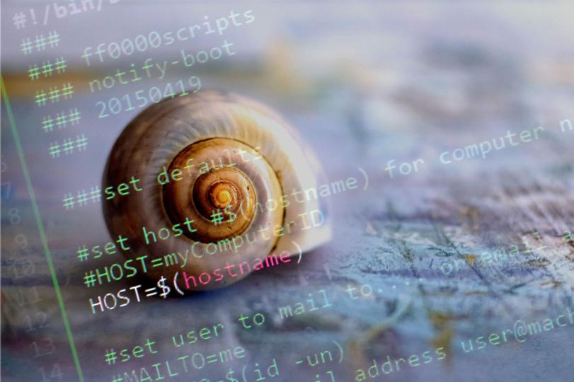 Shell: o que é, importância e usos